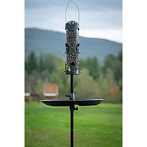 Brome Mega 600 Metal Tube Feeder w/6 Seed Ports, 4 lbs seed capacity
