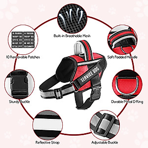 Service Dog Vest Harness and Leash Set, Animire in Training Dog Harness with 10 Dog Patches, Reflective Dog Leash with Soft Padded Handle for Small, Medium, Large, and Extra-Large Dogs (RED,XS)