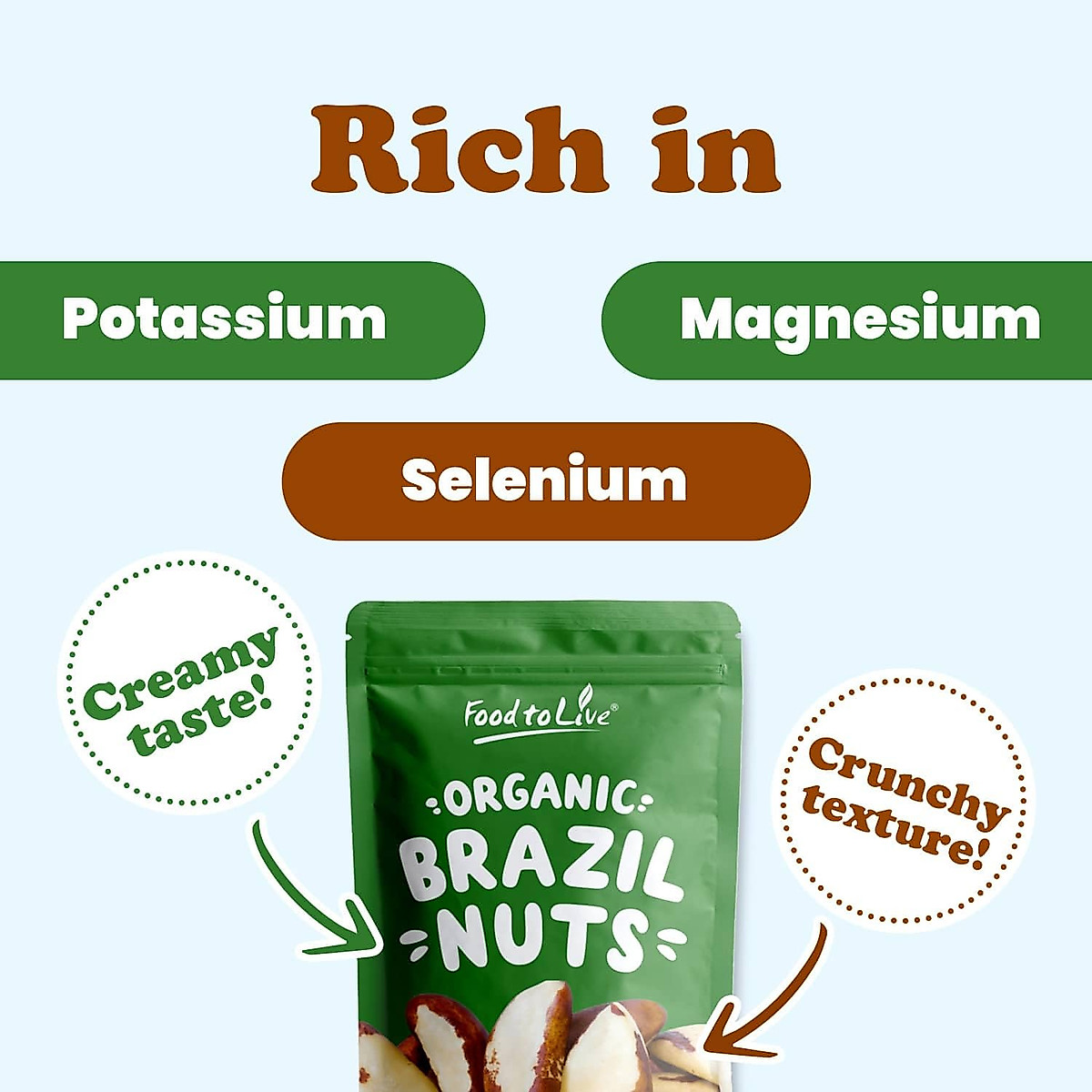 Food to Live - Organic Brazil Nuts, 1 Pound – Non-GMO, Raw, Whole, No Shell, Unsalted, Kosher, Vegan, Keto, Paleo Friendly, Bulk, Rich in Selenium