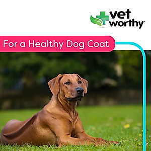 Vet Worthy Wild Alaskan Salmon Oil Blend for Dogs - Dog Supplement to Support Healthy Skin and Beautiful Coat - Fish Oil Supplement with EPA, DHA, and Omega 3 Fatty Acids - Salmon Flavor, 15.5oz