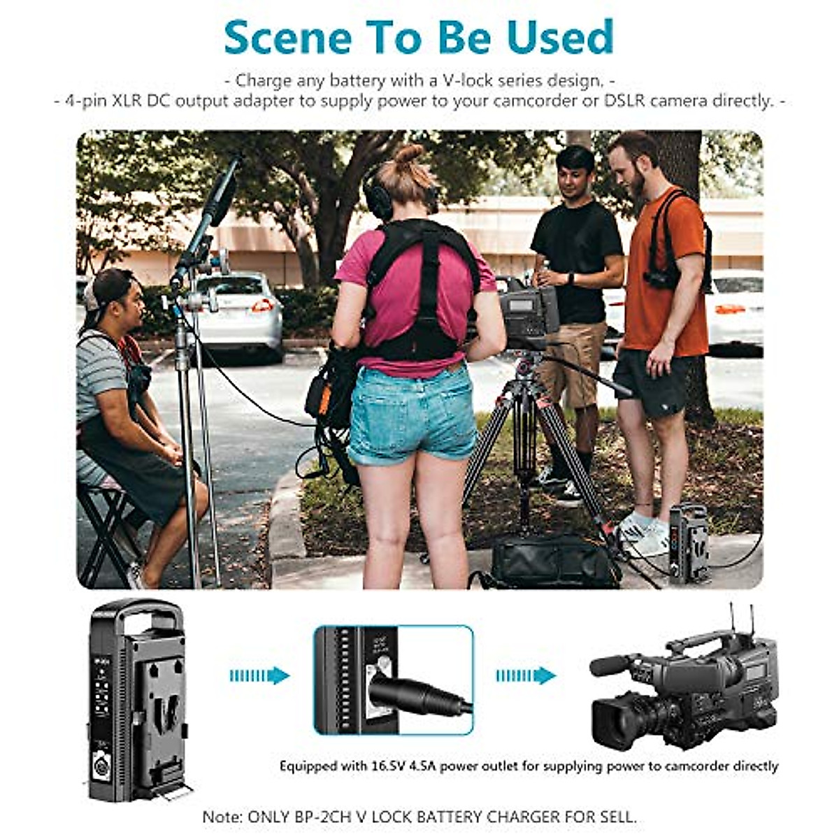 Neewer BP-2CH Dual Channel V-Mount/V Lock Battery Charger with DC 16.5V Power Supply Output Compatible with Any V-Mount Battery (XLR Cable/Battery Not Included)