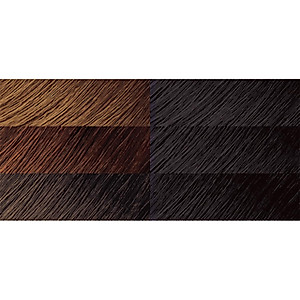 Moisture Rich Liquid Hair Color by Creme of Nature, C11 Natural Black, with Shea Butter Conditioner, 1 Application