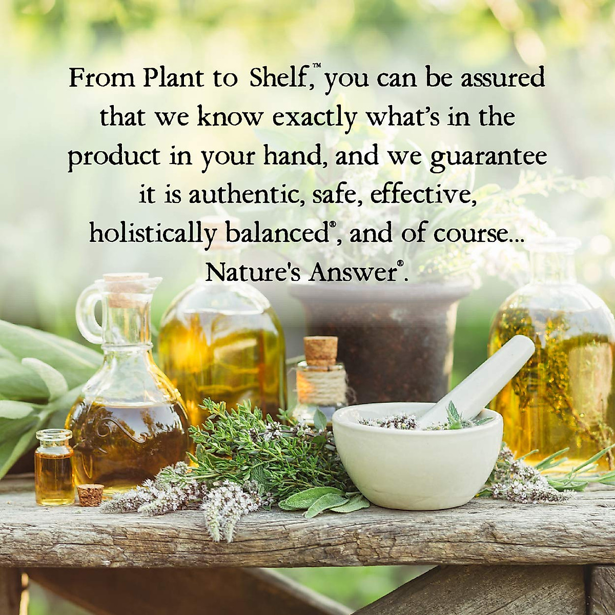 Natures Answer Periorub Topical Rub, 0.5 oz (Pack of 6) Dentist Formulated Soothing Gel for Teeth and Gums