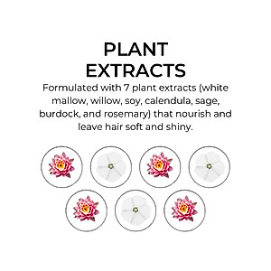 PHYTO 7 Botanical Hydrating Day Cream, 1.76 oz