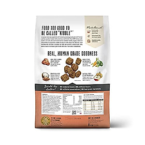 The Honest Kitchen Whole Food Clusters Grain Free Beef Dry Dog Food, 20 lb Bag