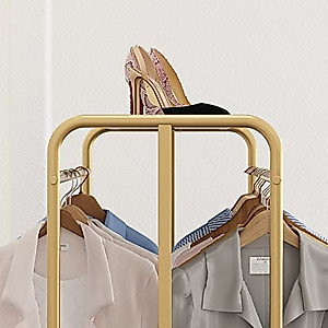 FONECHIN Heavy Duty Gold Clothing Rack for Boutique Use, Metal Garment Rack with Top Shelf, Dual-bar Clothes Rack for Retail Display