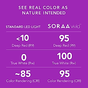 SORAA Vivid MR16 12V 9W Dimmable 2700K 36 Degree Narrow Flood Light Bulb