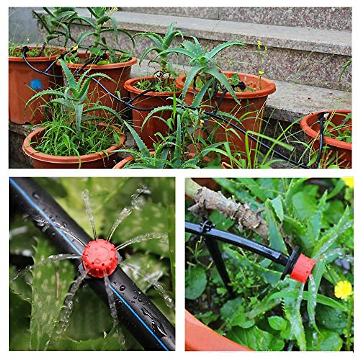 NUODITOS Gardening Watering System Tools Micro Drip Irrigation System Pressure Regulator Irrigation Garden Watering System 10 Or 15 Or 20PSI Both Ends Interface 3/4'' Female Thread (15 PSI)