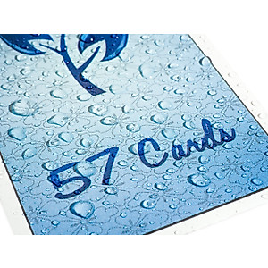 57 Cards Plastic Bird Cards 10th Anniversary Deck. Durable, Waterproof, & No Fraying.