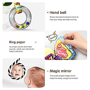 stochastic box Baby Rattle Toy with Baby Mirror,Newborn Toys 0 3 6 Months Brain Development,Great Gift for Girl&boy (Bird)
