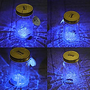 NC Butterfly in a Glass Jar, Hsxxf LED Lamp Jar Animated Butterfly in A Jar Tap to Activate Gift Decoration (Blue)