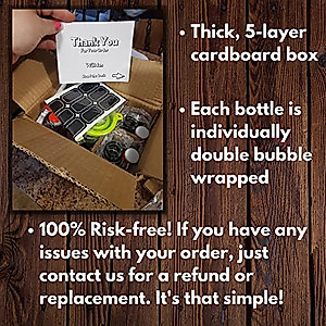 WILLDAN Set of 6-8.5oz Swing Top Glass Bottles - Flip Top Brewing Bottles For Kombucha, Kefir, Vanilla Extract, Beer - Airtight Caps and Leak Proof Lids, Bonus Gaskets and Funnel