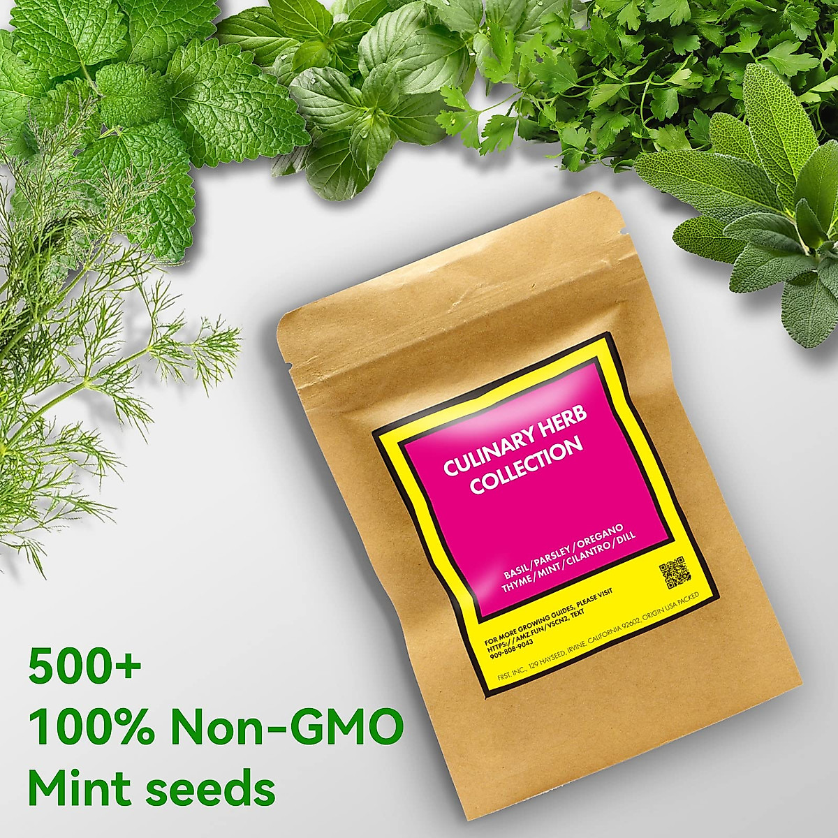 LYKO Basil Cilantro Dill Mint Seed Starter Kit for Hydroponics Growing System, Vegetable Pod Kits for Planting Indoor Garden 500+ Seeds (Basil, Parsley, Oregano, Thyme, Mint, Cilantro & Dill) 7 Pods