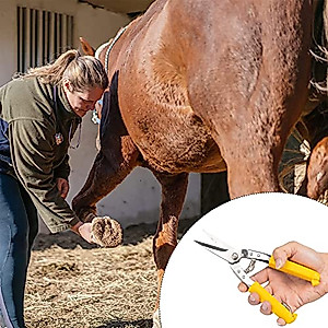 Goat Hoof Trimming Shears - 2 Pack Foot Rot Nail Clippers for Sheep Alpaca Lamb Pig Hooves Multiuse Carbon Steel Shrub Trimmer with Stronger 2 Pcs Spring Load