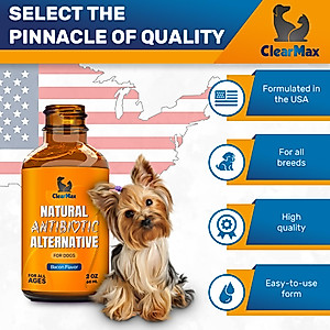 Natural Antibiotics for Dogs ◆ Dog Antibiotic ◆ Antibiotics for Dogs ◆ Dog Multivitamin ◆ Pet Antibiotic ◆ Dog Antibiotics ◆ Antibiotic for Dogs ◆ 2 Oz