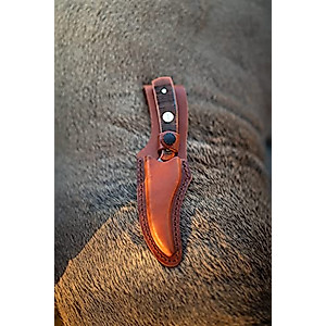 Old Timer Generational USA Series 152OTG Sharpfinger Fixed Blade Knife with Stainless Steel Clip Point Skinner Blade, Bone Handle, and Made in USA for Hunting, Skinning, Field Dressing and Outdoors