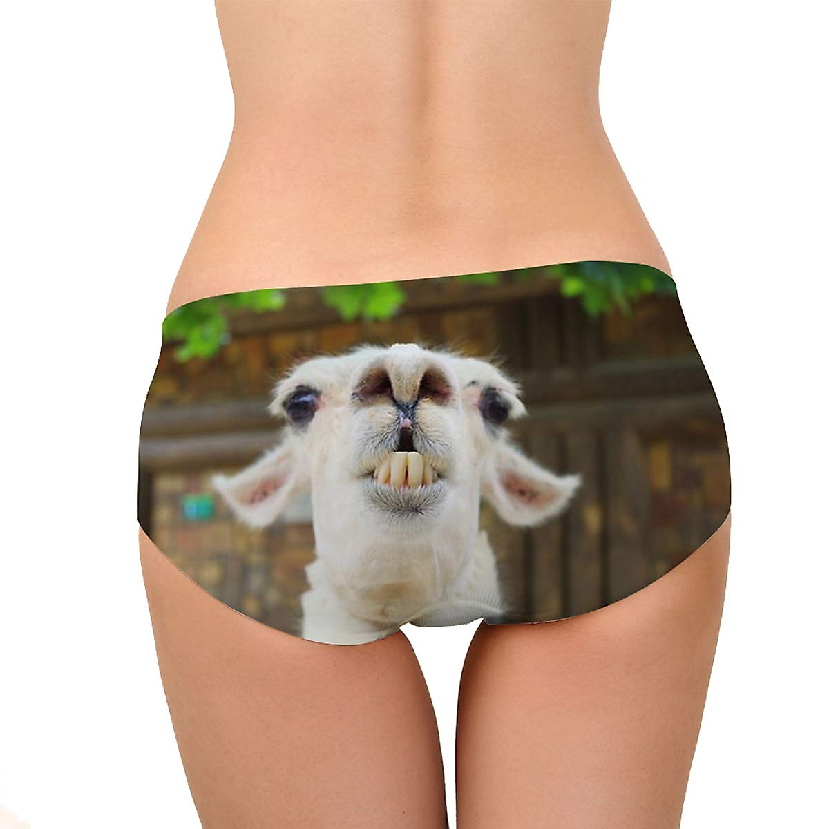 Dellukee Sexy Women Underwear Briefs Funny Alpaca Print Breathable Hipster Panty