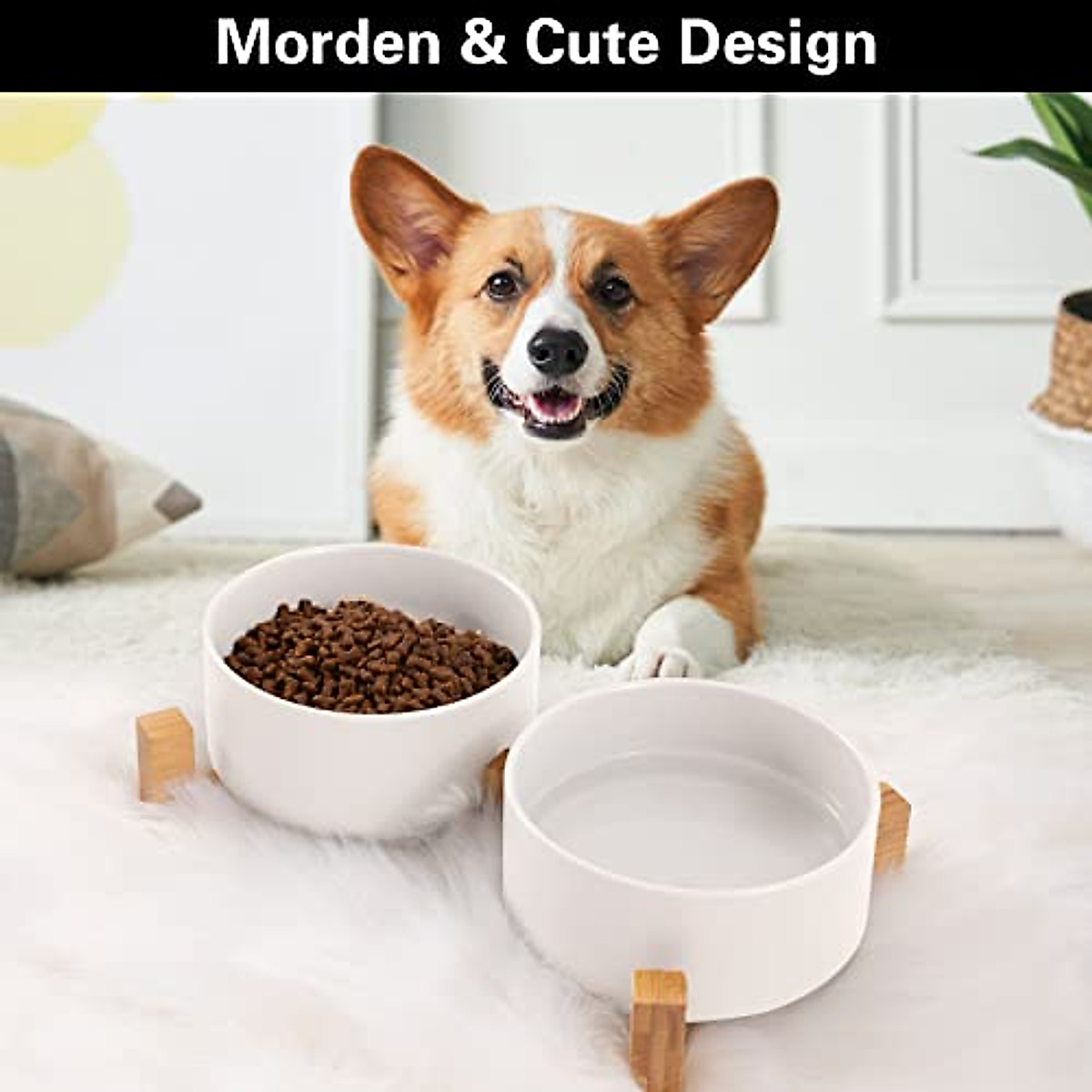 Ihoming Cat Bowls, Puppy Ceramic Food and Water Bowls Set, 1 3/4 Cups X 2, Indoors White Pet Bowls with Wood Stand