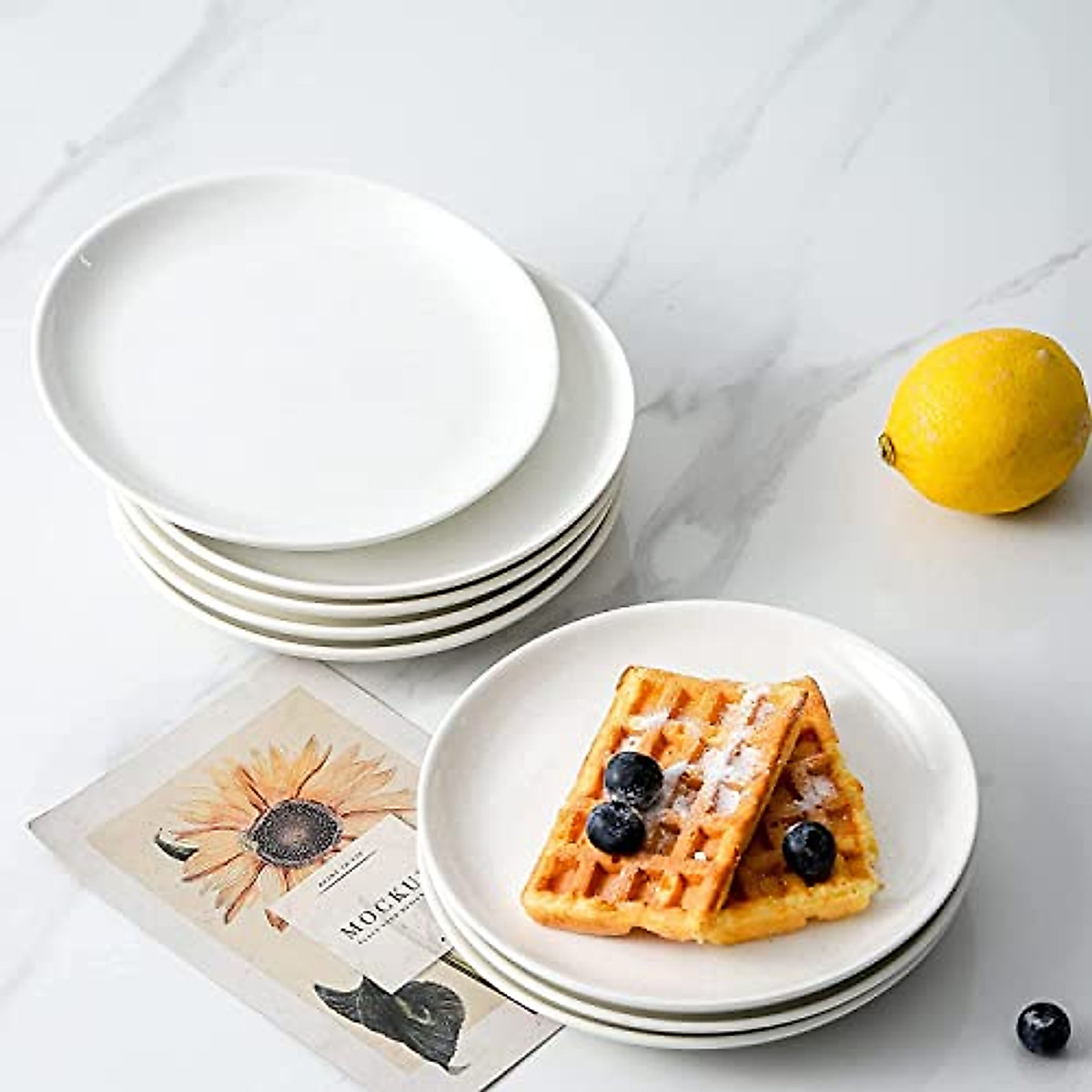 XINLTC 20-Piece Porcelain Dessert Plates, 5.6'' Round Appetizer Plates, Small White Plates for Appetizer, Cake, Sauce, Dinnerware Saucer Sets, Microwave, Oven, Dishwasher Safe