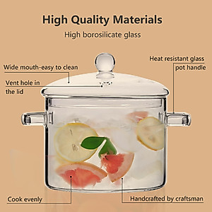 64oz/1900ml Clear Glass Simmer Pot for Cooking on Stove with Lid, Glass Saucepan Cookware Set for Pasta Noodle, Soup, Milk, Baby Food