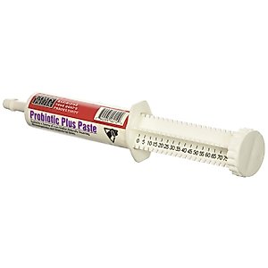 Vet's Plus Bomac Goats Prefer Probiotic Plus Paste Tube Antibiotic Therapy 80cc