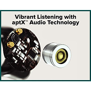 Cleer Audio, Ally Plus, True Wireless Hybrid Noise Cancelling Earbuds with 30 Hour Battery, Water Resistant, Music & Calls (Navy)