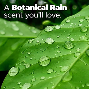 Tide Power Pods Laundry Detergent Pacs with Febreze Freshness with Odor Eliminators, Botanical Rain Scent, 45 Count