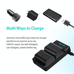 BESTON 2-Pack LP-E6 LP-E6N Battery and Charger for Canon EOS R 6D 7D 60D 70D 80D 90D, 5D Mark II III IV, 6D Mark II, 7D Mark II, 5DS R, XC10 XC15 Camera
