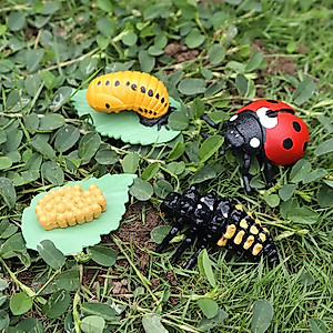20 PCS Life Cycle Figurines of Butterfly Spider Bee Ladybug Dragonfly, Plastic Insect Bug Figures Toy Kit, Early Education Growth Stage Model Biology Science Toys School Project for Kids Toddlers