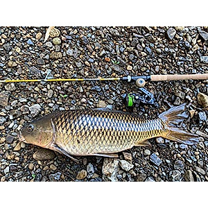 Abu Garcia ZMSS-605L Pack Rod, Spinning Zoom Safari