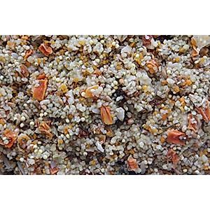 Higgins Worldly Cuisines Tuscan Dream Bird Treat, 2 Ounces (3 Pack)