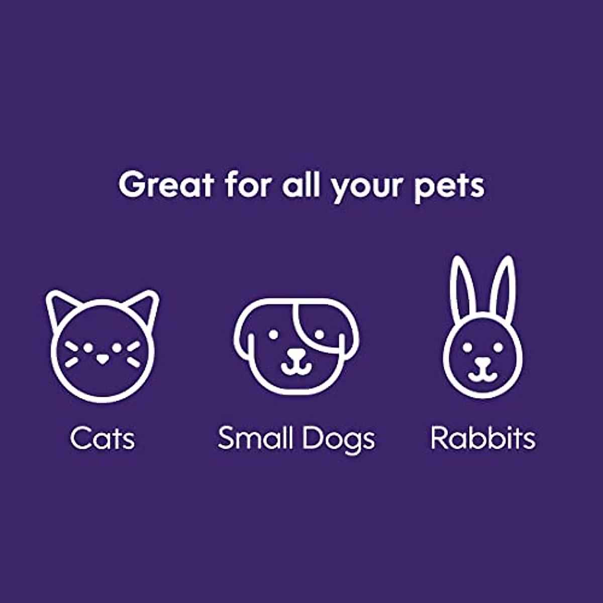 Litter Genie Plus Pail, Ultimate Cat Litter Disposal System, Locks Away odors, Includes One Refill, Black,Small