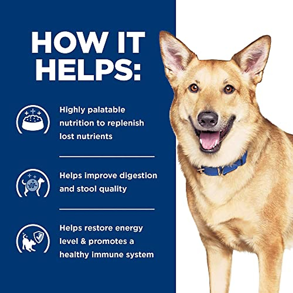 Hill's Prescription Diet i/d Digestive Care Chicken & Vegetable Stew Canned Dog Food, Veterinary Diet, 12.5 oz., 12-Pack Wet Food