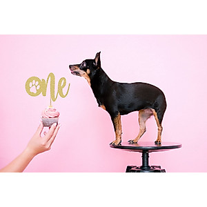 AHAORAY Paw Print One Cake Topper - Gold Glitter Pet Dog First Birthday Cake Decorations Supplies - Pet Puppy Theme Party Cake Decor, for Pet Birthday Party, Baby Shower Favors or Photo Booth Props