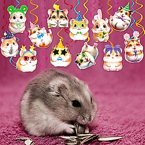 Hamster Hanging Swirls Hamster Party Decorations 20Pcs Guinea Pig Hanging Streamers Hamster Birthday Party Supplies Guinea Pig Ceiling Swirls for Hamster Baby Shower Supplies