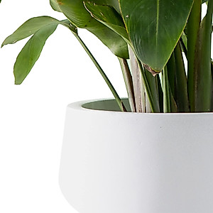 Kante 21.6",16.9",and 12.5" Dia Round Pure White Elegant Planters (Set of 3), Outdoor Indoor Garden Plant Pot with Drainage Hole and Rubber Plug for Home & Patio