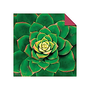 Origami Paper 500 sheets Succulents 6" (15 cm): Tuttle Origami Paper: Double-Sided Origami Sheets with 12 Different Photographs (Instructions for 6 Projects Included)