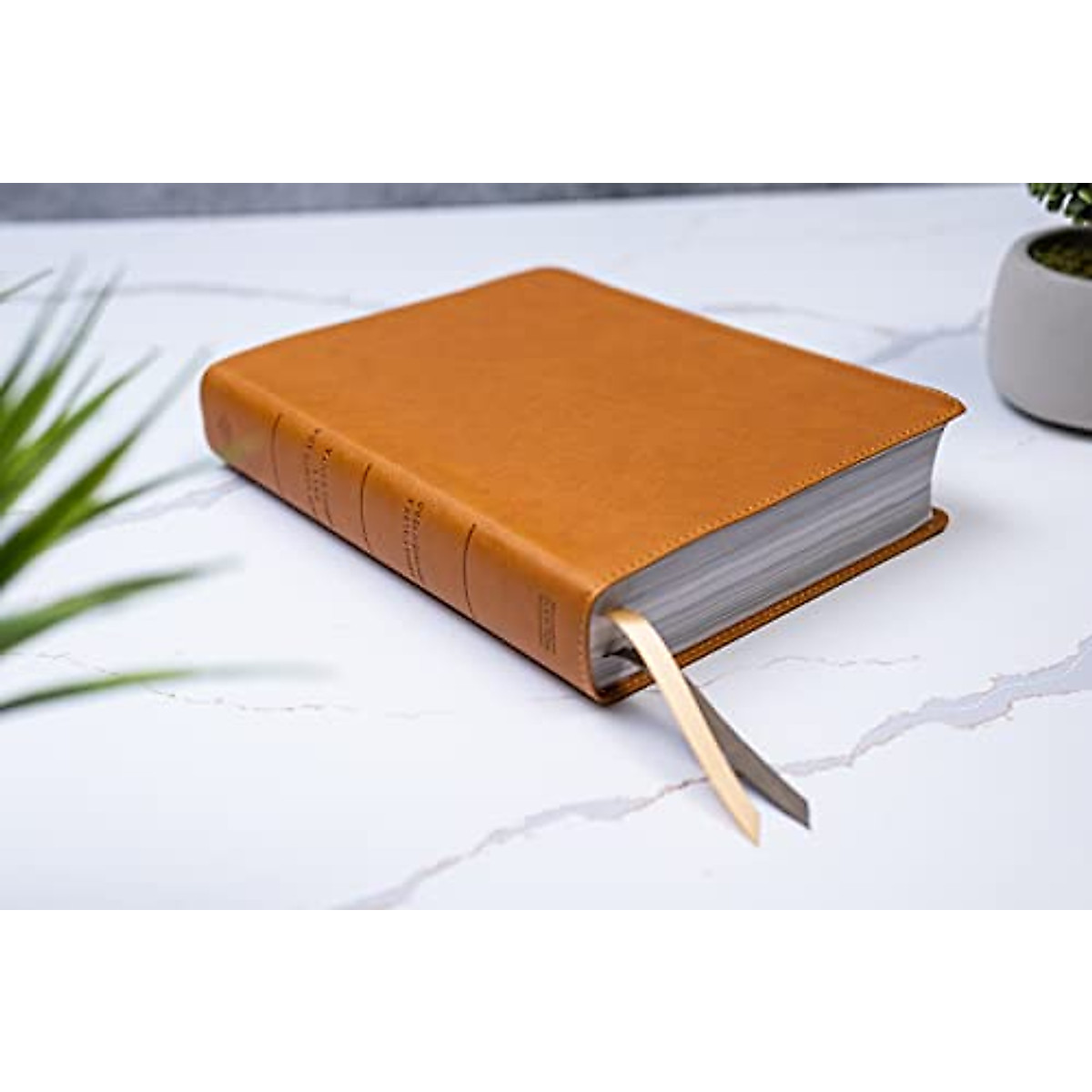 RVR 1960 Biblia ilustrada de la Tierra Santa, café símil piel con índice / RVR 1960 Holy land Study Bible, brown LeatherTouch Indexed (Spanish Edition)