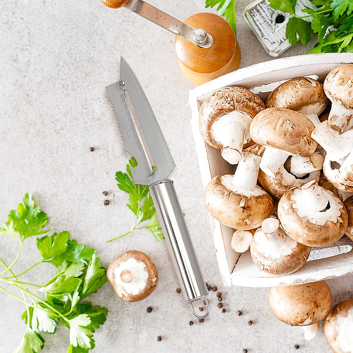 BESTONZON Multifunction Paring Knife Stainless Steel Peeler Gourd Grater Parer for Vegetable Fruit