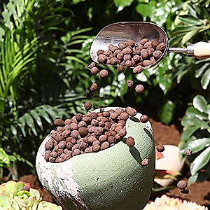 Expanded Clay Pebbles 1 qt, 8mm-14mm Clay Balls for Plants, Organic Plant Grow Media, Porous Stones for Hydroponics, Drainage, Decoration, Aquaponics, and Other Gardening Essentials