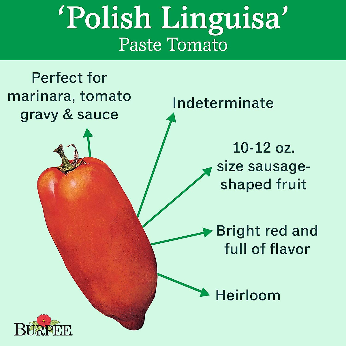 Burpee 'Polish Linguisa', Large Red Sauce & Paste Tomato, 30 Non-GMO Seeds