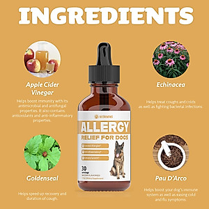 Natural Dog Allergy Relief - Helps to Naturally Support Allergy & Itch Relief for Dogs - Allergy Relief for Dogs Itching - Itch Relief for Dogs - Dog Itch Relief - Dog Allergy Support - 1 fl oz (Dogs)