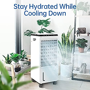 Evaporative Air Cooler, fancole 3-in-1 Portable Air Conditioner, 4 Ice Packs Room Cooler w/ 20FT Remote Controller, 1.85Gallon Water Tank For 8Hrs Cooling, Evaporative Cooler for Indoor,22INCH