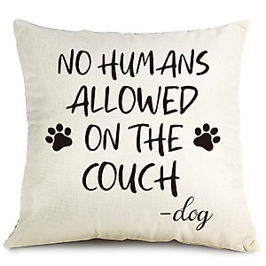 No Humans Allowed on The Couch Dog, Dog Lovers Gift Decorative, Throw Pillow Cover, Funny Dog Owner Gifts, Christmas Birthday Gift, Square Pillowcase Decoration for Sofa Bedroom-8L109