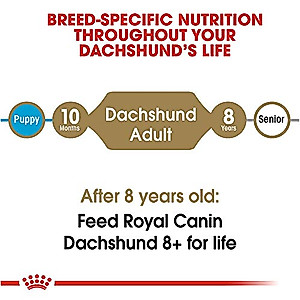Royal Canin Dachshund Adult Breed Specific Dry Dog Food, 10 lb bag