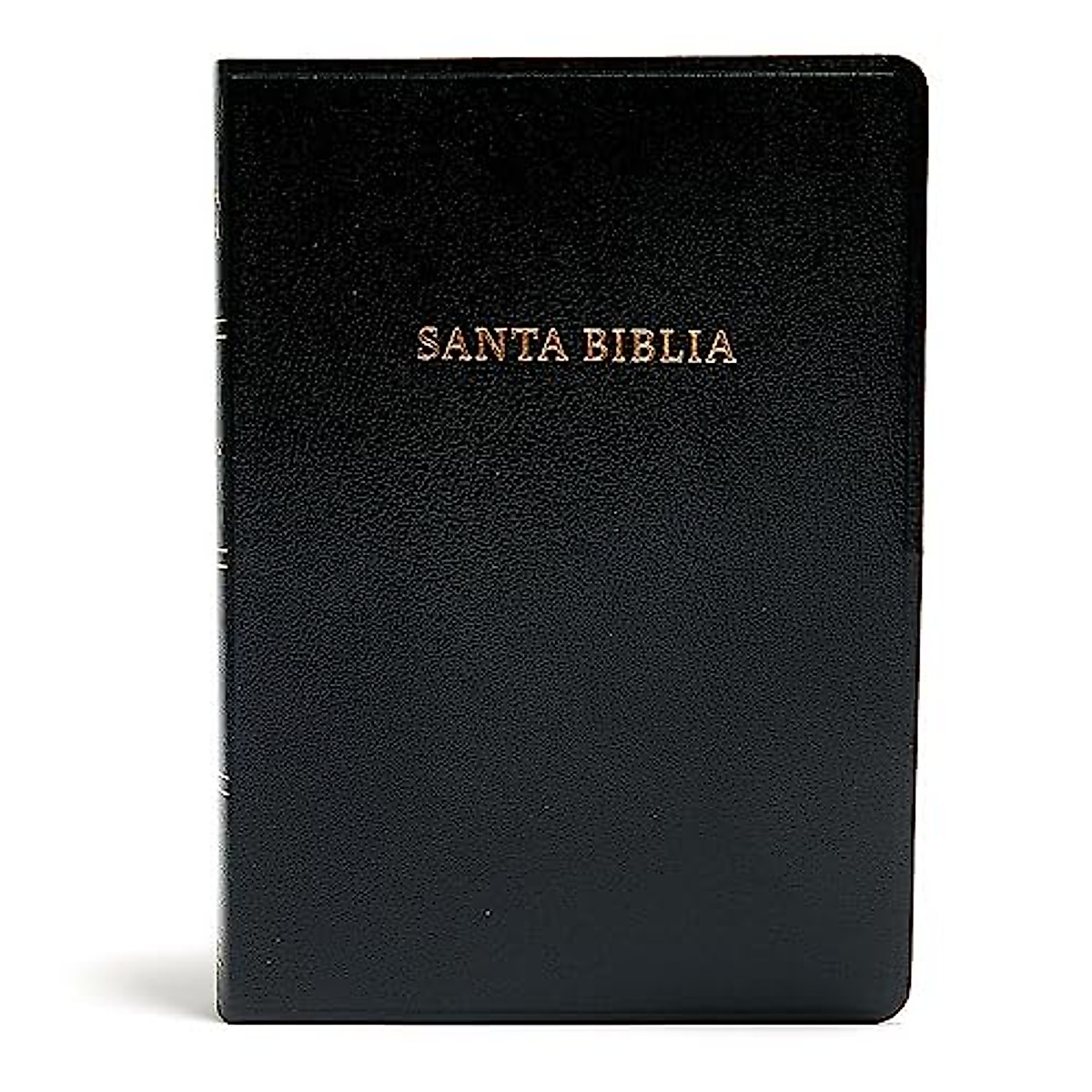 Biblia Reina Valera 1960 Letra súper gigante. Imitación piel, negro, con índice | RVR 1960 Super Giant Print Bible, Imitation leather, Black, Indexed (Spanish Edition)