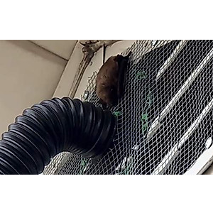 The Bat Valve Device | Get Rid of Bats in the House and Attic | TBV-Flex2