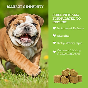 Moe’s Allergy and Immune Support for Dogs- Supports Anti-Itch, Seasonal Allergies- Omega 3 Wild Alaskan Salmon Fish Oil- Dog Allergy Treatment, Skin Health- Made in USA- 90 Chews (Peanut Butter)