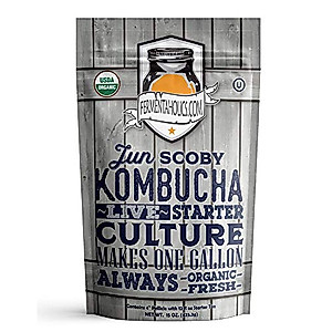Jun Kombucha Starter Culture - USDA Certified Organic Jun SCOBY & Starter Tea - Makes 1 Gallon - Brewed with Organic Green Tea & Honey - Brew Jun Tea!