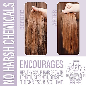 Luxiny Hair Shampoo and Conditioner Set - Sulfate Free Lavender Bars, Made in USA (1 Shampoo Bar 60g, 1 Deep Conditioner Bar 50g)